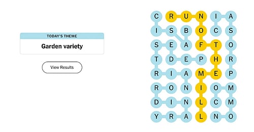 NYT Strands Today: May 8 Answers