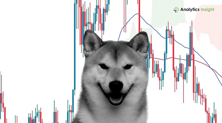 Should You Invest in Shiba Inu Before the Next Bull Run?