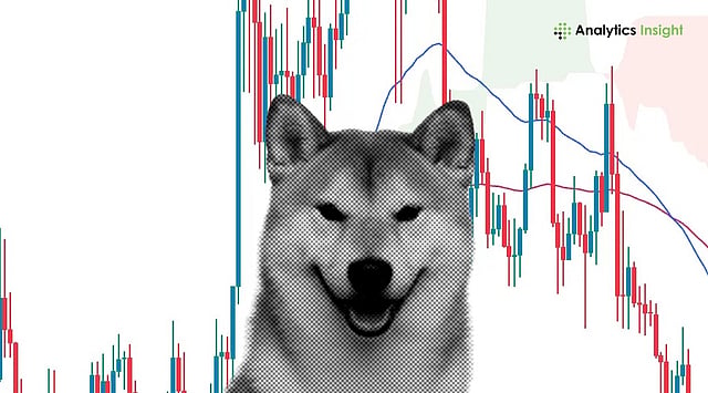 Should You Invest in Shiba Inu Before the Next Bull Run?