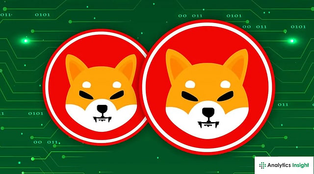 Shiba Inu Price Today: SHIB Nears Support Amid Weakness