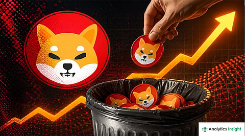 Shiba Inu News Today: SHIB Exchange Outflows Surge as Whale Withdraws ...
