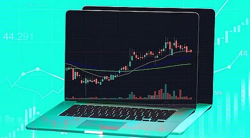 Top Dividend Stocks for Long-Term Investors in 2026