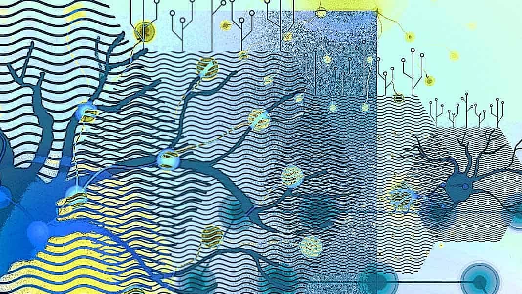 How AI and Neuroscience Can Help Each Other Progress?