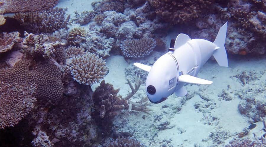 Understanding Social Interaction in Robots through Behavioral Teleporting