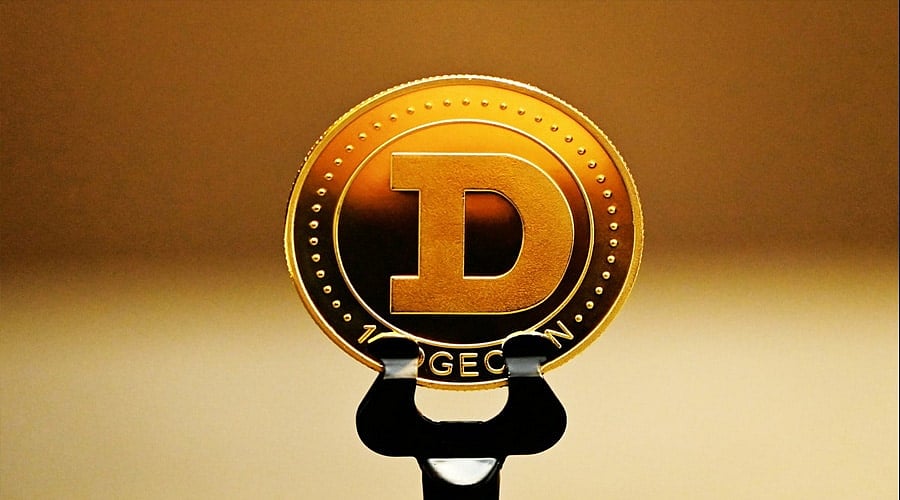 Dogecoin Mining Profitability Jumped by 700% in 2021, Transaction Fees ...