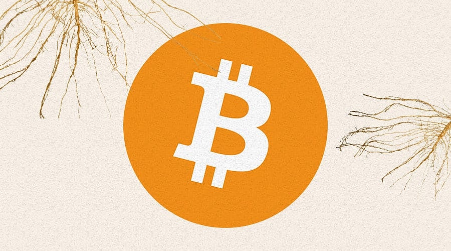 Bitcoin Taproot Development: What Does it Mean for Investors?