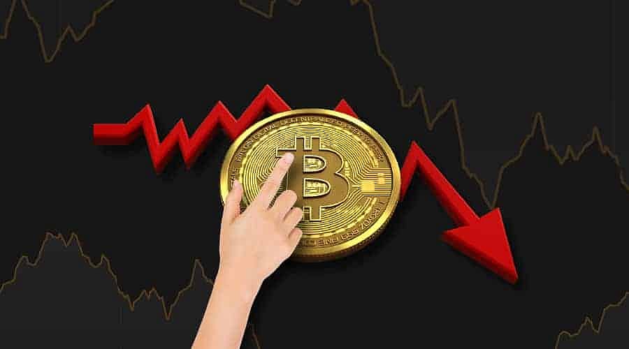 Career Insights: All You Need to Know About a Cryptographer