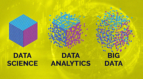Data Science vs Data Analytics vs Big Data: What Does Your Business Need?
