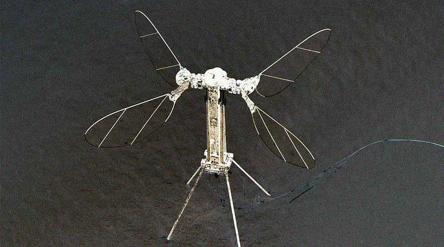 These Insect-Sized Flying Robots Might be on a Mission!