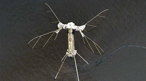 These Insect-Sized Flying Robots Might be on a Mission!