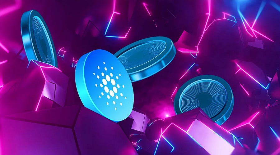 If You Missed Cardano in 2017, Bitgert is Your Second Chance