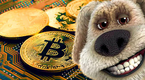 Talking Ben crypto coin