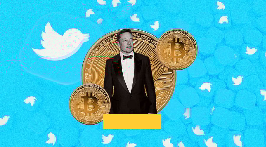 'Elon Buys Twitter' Crypto Becomes a Sensation after Musk's Acquisition