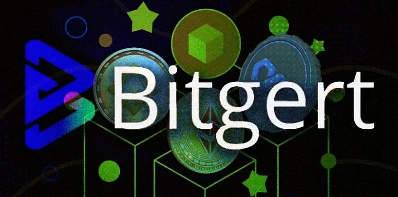 Bitgert Will be Amongst The Top 10 Cryptocurrencies With its Solid ...