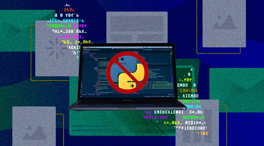 Why Python is not the Right Language for your massive Project?