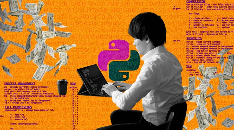 How to Get Impressive Income as a Python Freelancer in 2022?