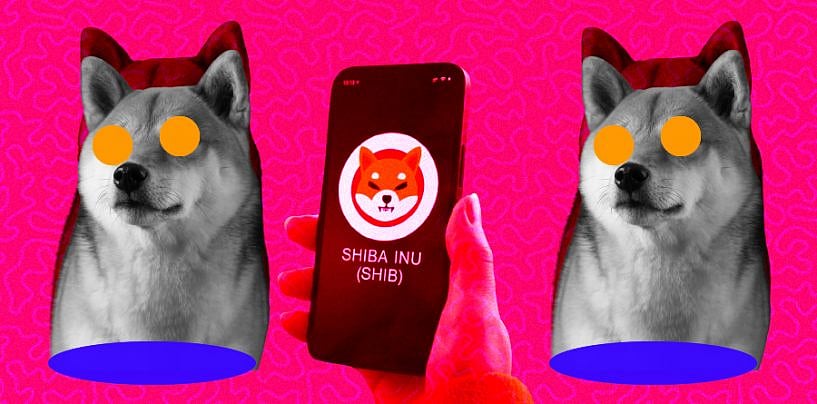 Shiba Inu ‘Burn Rate’ Surges, But $SHIB Still Trails Bitgert $BRISE Growth