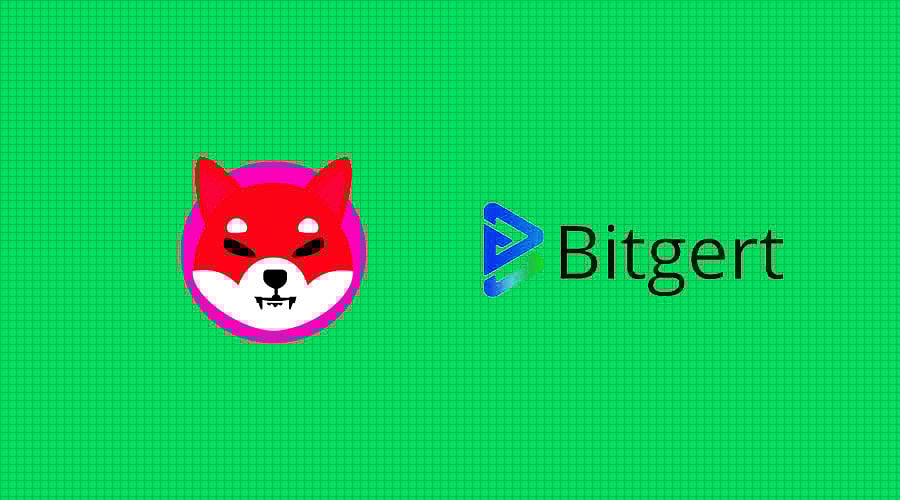 Bitgert (BRISE) Price Explosion Sends Saitama Inu and Floki Inu Devs ...