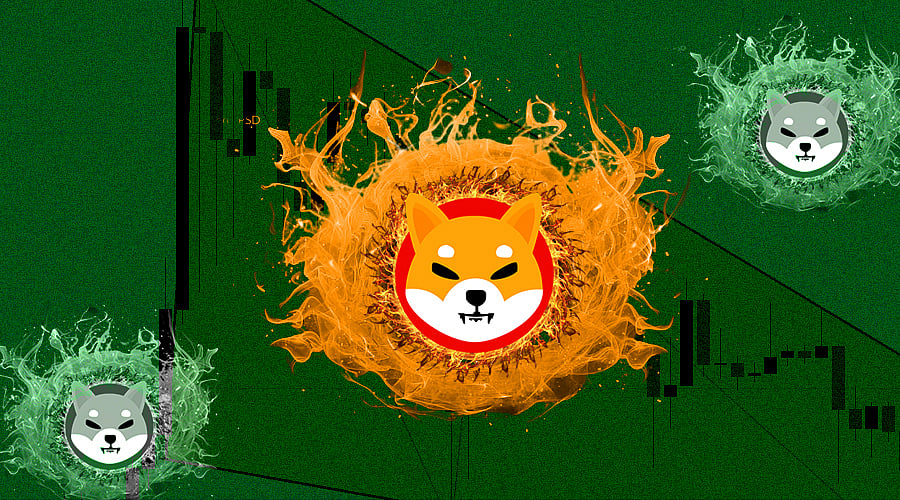 Shiba Inu burning plummets -94% since May