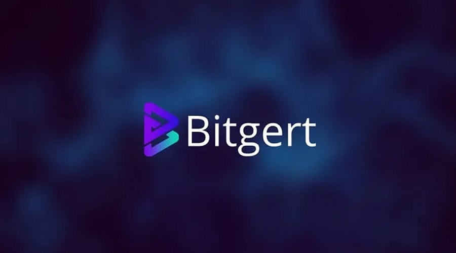 Why Bitgert (BRISE) Is The Coin Saitama Inu and Floki Inu Investors Are ...