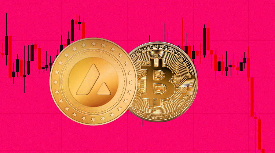 Can PrivaCrip Replicate The Success Of Bitcoin And Avalanche?