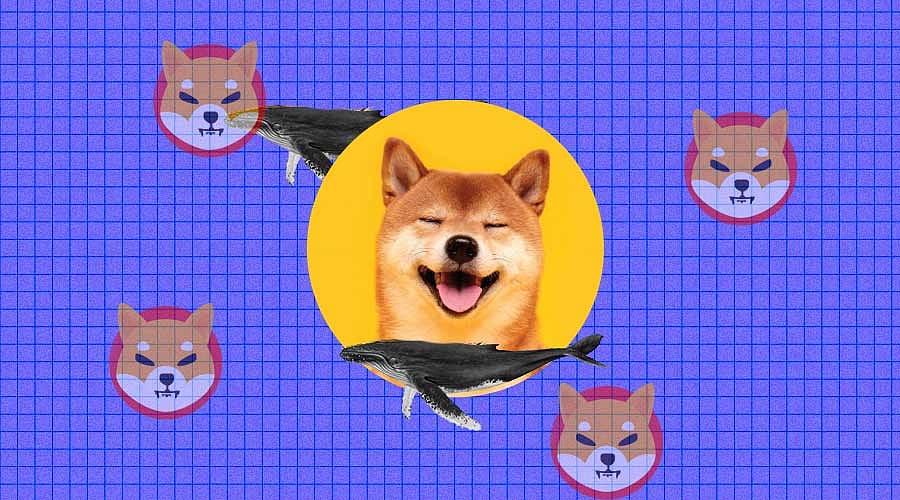 Shiba Inu Breakout is On the Way! And Only Whales Can Help in That