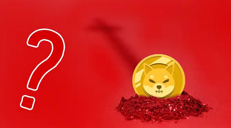 Is Shiba Inu Dead? - Get the Best Alternative with 100x Gain