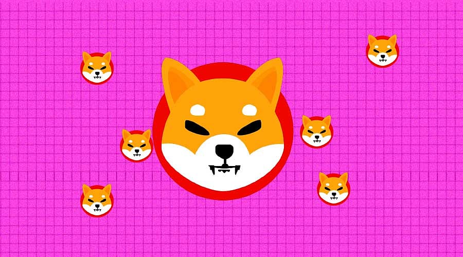 Love the Shiba Inu burns? Here’s why you’ll love EverGrow