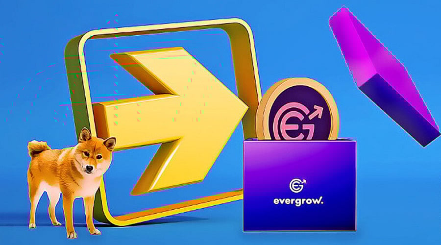 EverGrow finds use case – burn rate 4,085x higher than Shiba Inu