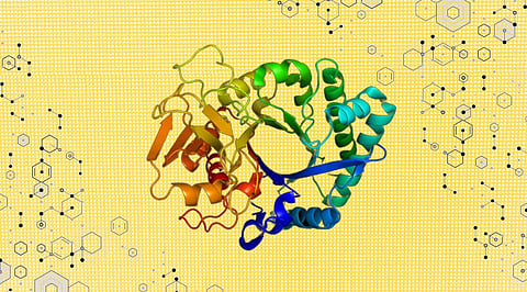 AlphaFold, a Computational Model to Predict Molecular Interactions