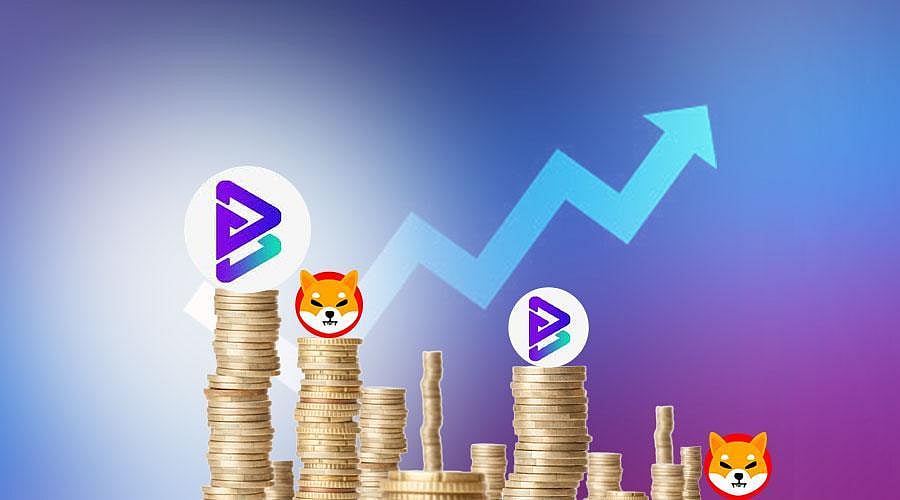 Why Bitgert (BRISE), Shiba Inu (SHIB) & Dogecoin (DOGE) Tops Investors ...