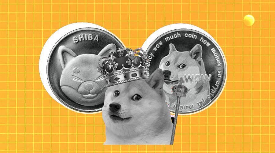 Dogecoin and Shiba Inu in 2025: Will Other Coins Replace the Meme kings?