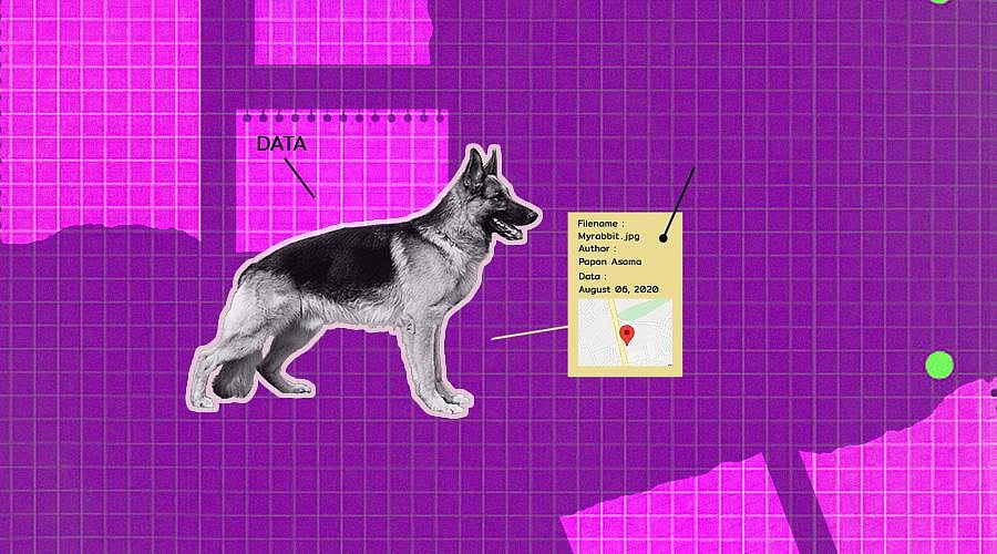 Everything You Need to Know About Metadata Enrichment