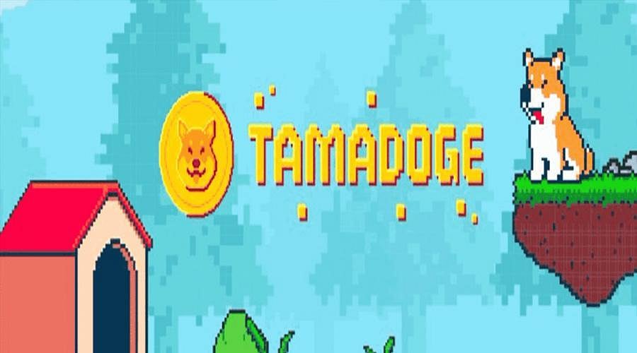 Tamadoge raises $11 Million in Four Weeks - Buy TAMA Now Before it's ...