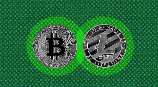 Bitgert Proves Why It's A Better Coin Than Litecoin and Bitcoin This ...