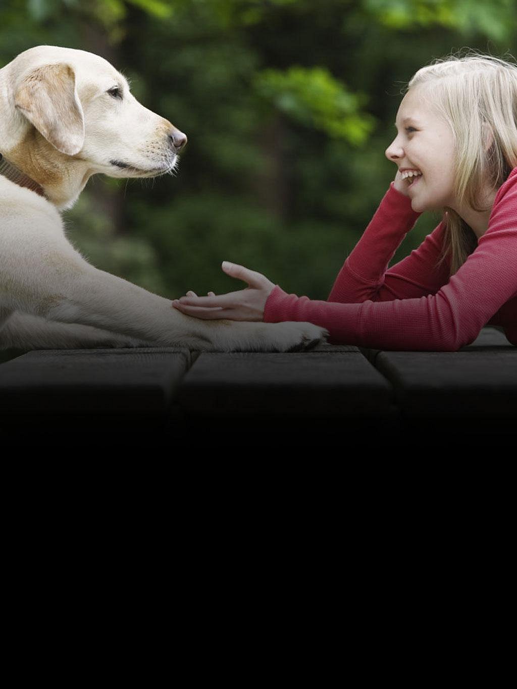 Now, You Can Communicate with Your Favourite Animal with AII and ML