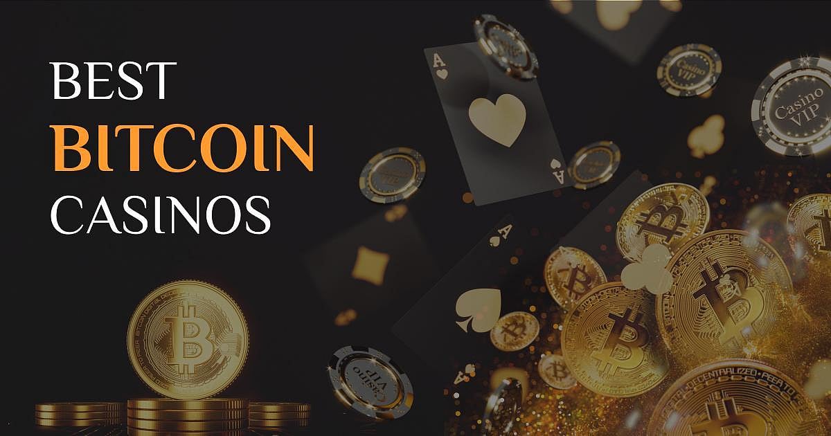 Best Crypto Gambling Sites: Where to Play Safely - Insect Eating Plants