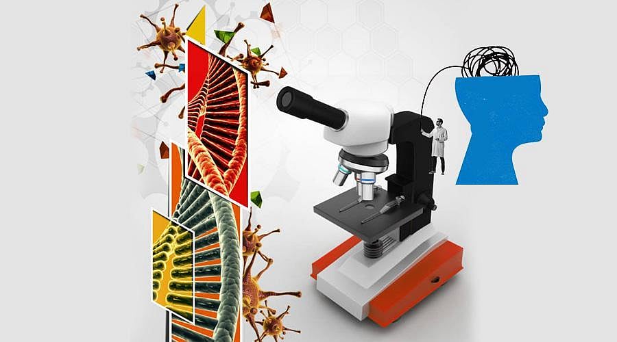 A Significant Biology Problem Has Finally Been Solved