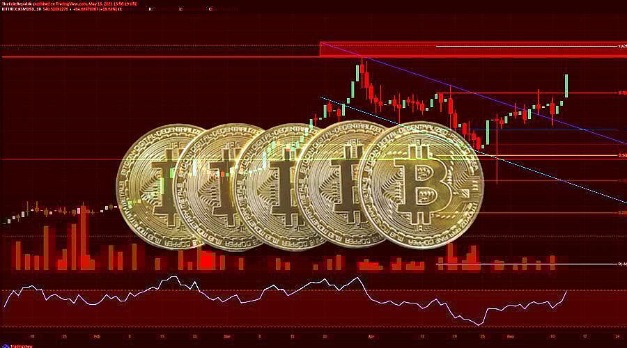 Top Cryptocurrency Prices Today: Crypto Market Volume Flourish