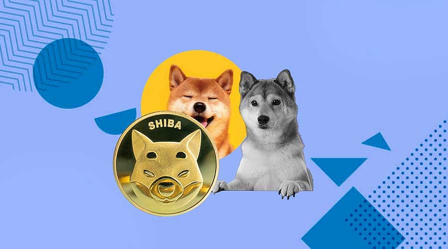 Top 10 Crypto Prices for January 23, 2023: Shiba Inu is the Most ...