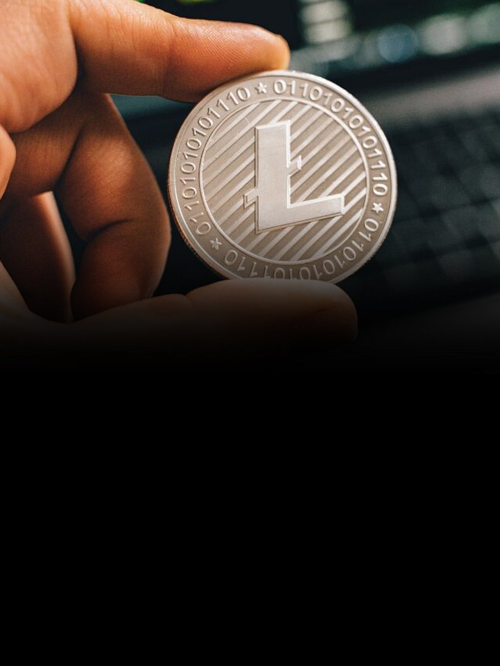Whales support LTC rebounds its value from 2022, LTC network appears to ...