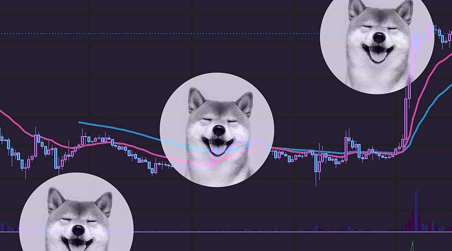 Shiba Inu’s (SHIB) Price Turns Positive as Transactions Increase by 56%