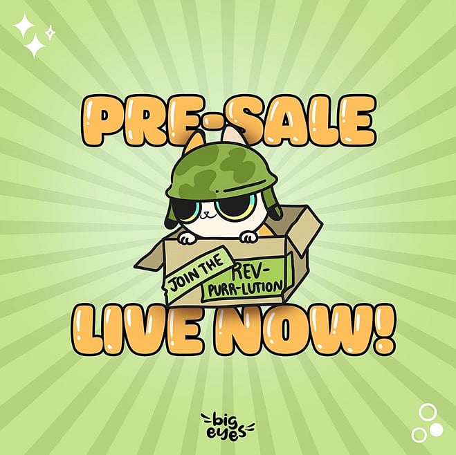 Unveiling the Hype on Meme Coins - A Detailed Study on Shiba Inu, Big ...