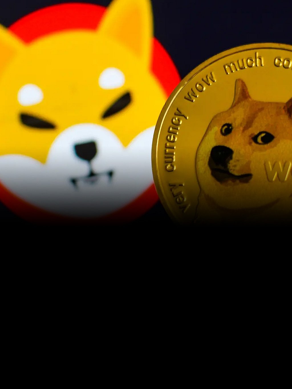 From Dogecoin to Shiba Inu Everything You Need to Know About Meme Coins
