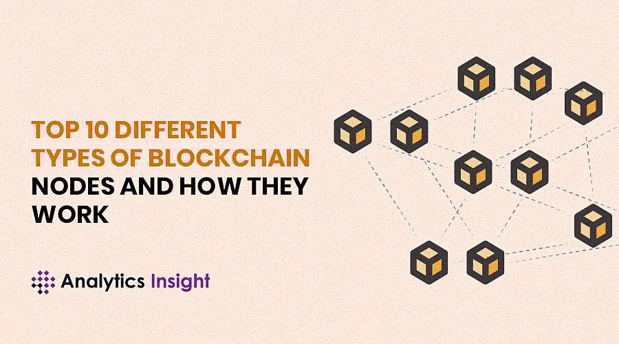 Top 10 Different Types of Blockchain Nodes You Need to Know