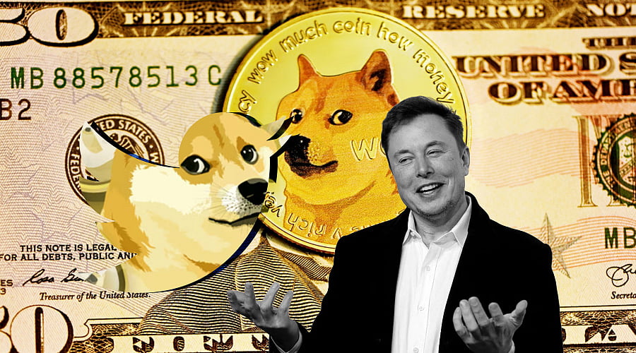 Dogecoin Price Soars 30% As Elon Musk Changes Twitter Logo To DOGE