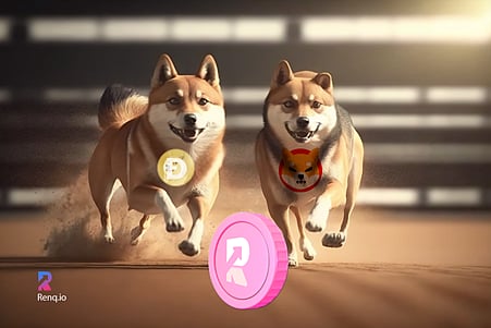 Meme coin competition: Dogecoin (DOGE) vs Shiba Inu (SHIB), this DeFi ...