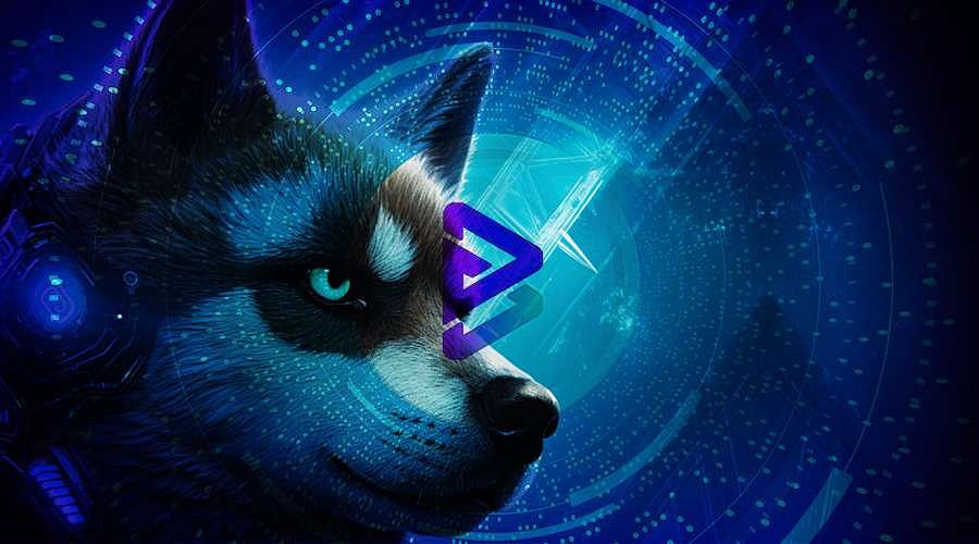 Aidoge Price Prediction And Analysis: Whales Leaving For Bitgert