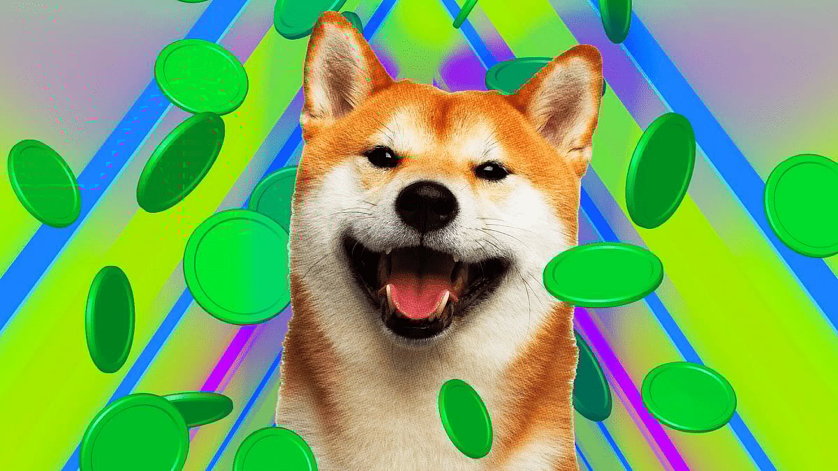 Will Floki Inu (FLOKI) Beat Dogecoin (DOGE) to Become the King of ...