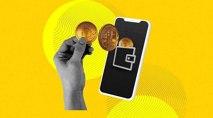 Top 5 Crypto Software Wallets for Beginners